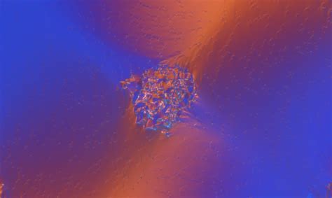 Waves In Liquid Crystals Fyfd