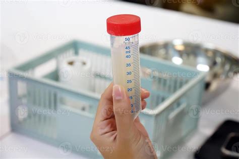 Asian Babes Conduct A Science Experiment On Extracting DNA From Onions Serves As A Blueprint