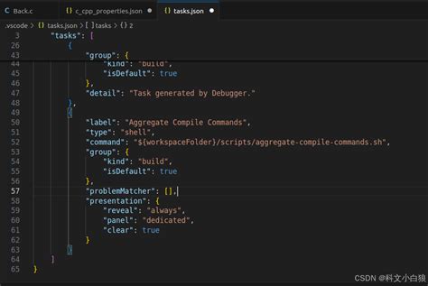 linux下vscode开发环境配置（lsp） vscode lsp csdn博客