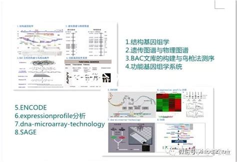 动态 第三期多组学数据分析及挖掘临床应用培训班 知乎