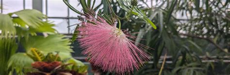 The Hidden Nuance Of The Javascript File Api