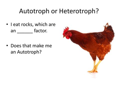 Ap Biology Discussion Notes Ppt Download