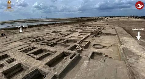 کشفی غیرمنتظره در صحرای سینا