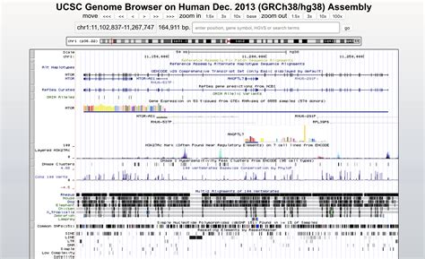 Ucsc Genome Browser · Genocat Tools