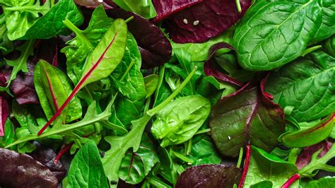 Arugula Vs Spinach Which One Should You Choose
