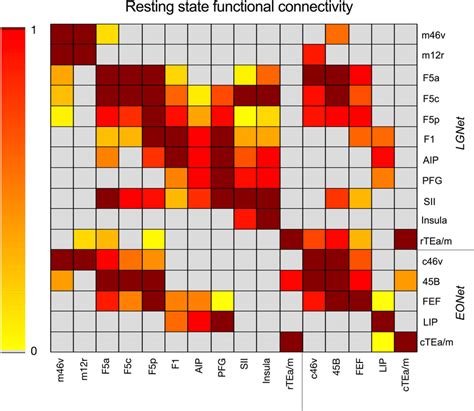 Correlation Matrix Showing The Functional Connectivity Group Analysis Download Scientific