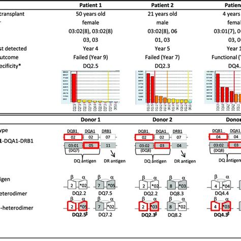 Specificity Of Donor Specific Antibody Dsa Download Table