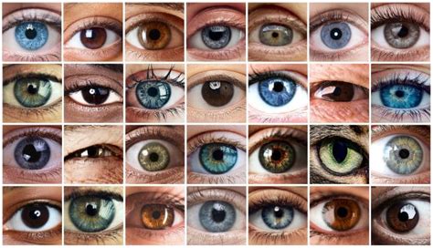 Management Consulting Firm South Africa Analyze Consulting