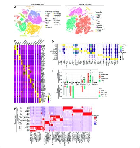 ScRNA Seq Profiling Map Of Cell Gene Expression In Human And Mouse Download Scientific Diagram