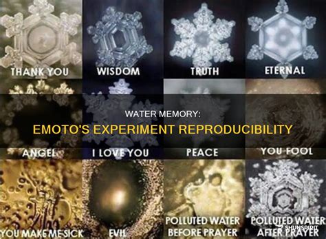 Water Memory Emotos Experiment Reproducibility Shunspirit