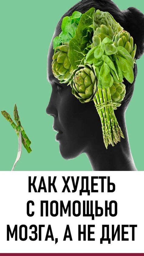 Фен шуй советы для дома Зоны по Фен шуй Статьи по Фэн Шуй Фен шуй советы для дома Зоны по Фен