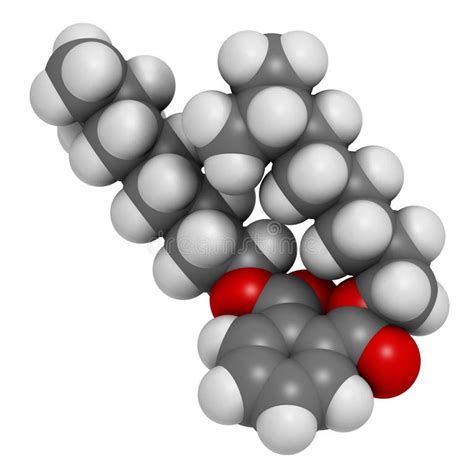 Dinp Stock Illustrations 13 Dinp Stock Illustrations Vectors