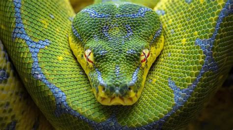 advanced python concepts enhancing your codebase datamount
