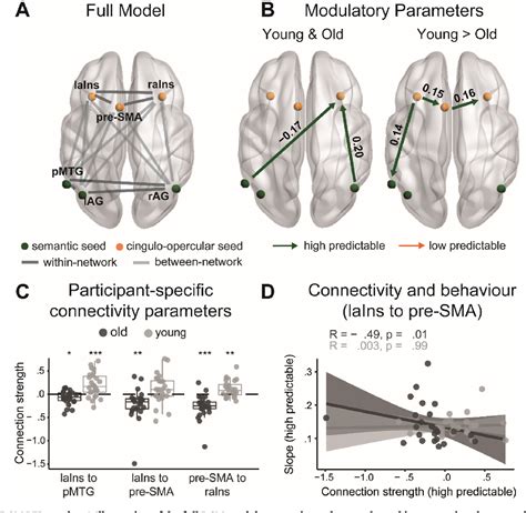 Figure 4 From Age Related Differences In The Neural Network Interactions Underlying The