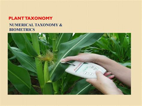 Numerical Taxonomy Plant Taxonomy Pptx Biological Sciences Science
