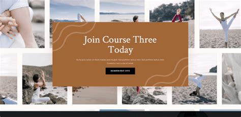 Divi Plugin Highlight Wishlist Member Divi Integration