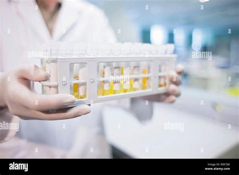 Laboratory Assistant Holding Medical Samples In Rack Stock Photo Alamy