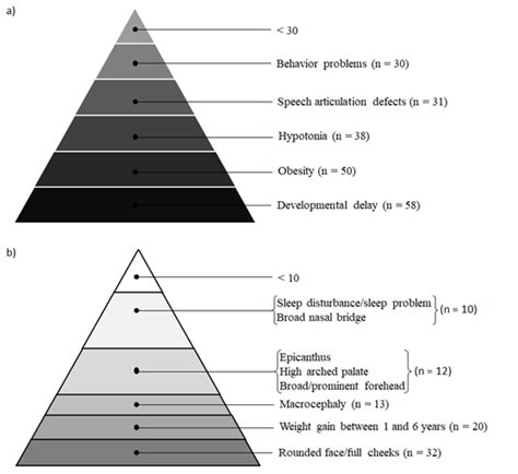 The Most Frequent Phenotypic Characteristics For Prader Willi Like Download Scientific Diagram