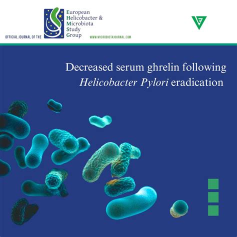 Verduci Editore On Linkedin Ghrelin A 28 Amino Acid Peptide Hormone