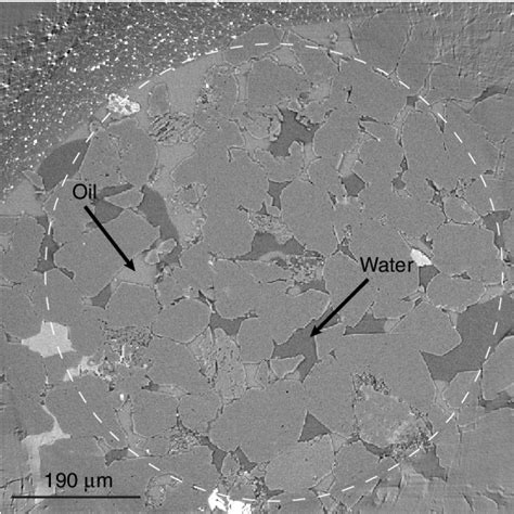 Figure 10 From Synchrotron Based X Ray Tomographic Microscopy For Rock