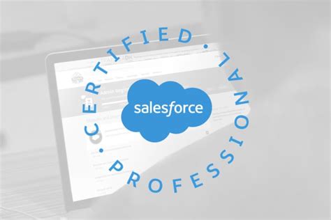 Be Your Salesforce Administrator And Business Analayst By Vcordopatrepaw Fiverr