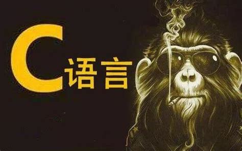 C语言从入门到精通所需的7本书pdf 微盘下载 小不点搜索