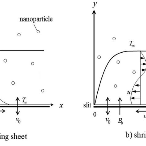The Physical Representation And Spatial Reference Frame Download Scientific Diagram