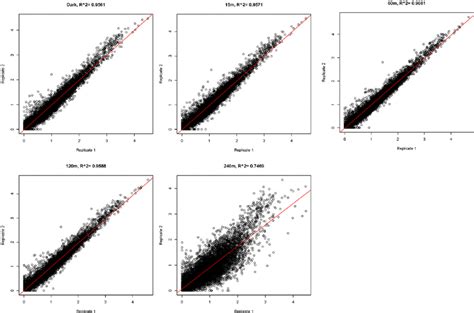 Comparison Of Rna Seq Replicate Experiments The Fpkm For Biological