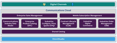 Salesforce Communications Cloud Apex Hours