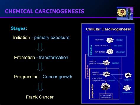 Oncogenesis