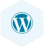 Front End Development Service Fast Responsive Code