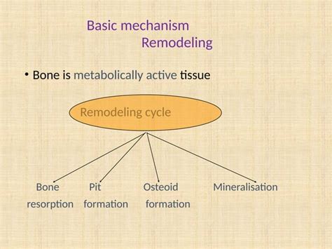 Prsentation Presenting Prsenters Ofpptx