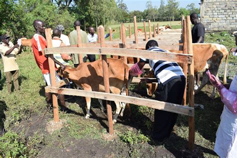 Expert Advice What To Consider To Avoid Losses During Artificial