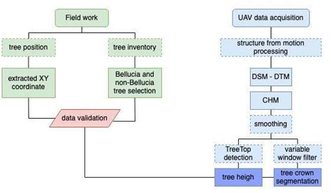 A Flowchart Demonstrating How To Collect Uav Data In The Field And