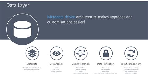 Dynamics Xrm Platform Implementation Empowering Cios Microsoft