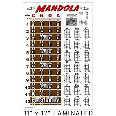 Laminated Mandola Fretboard And Chord Chart India Ubuy