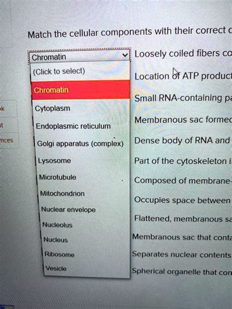 SOLVED Match The Cellular Components With Their Correct I Chromatin Loosely Coiled Fibers Co