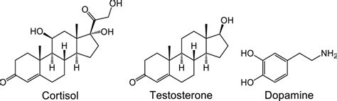 Chemical Structures For Cortisol Cortisol Hydrocortisone Often Download Scientific Diagram