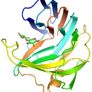 The 3 D Image Of Pectinase Enzyme Download Scientific Diagram