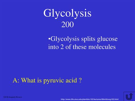 Cellular Respiration JEOPARDY S C Jeopardy Review Ppt Download