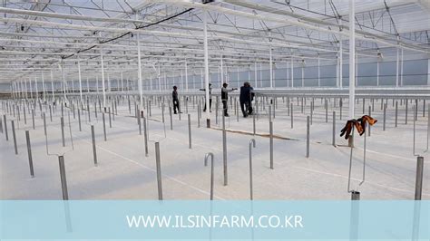 딸기 수경재배용 행잉거터 딸기배드 주 일신팜 Youtube