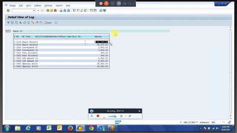 Sap Payroll Schema At Rory Barbour Blog