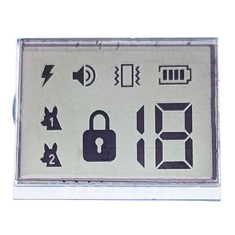 Tn TFT Monochrome Dots Matrix Segment Graphic LCD Module For Electric Bicycle China LCD Panel