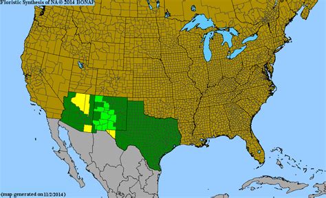 2013 Bonap North American Plant Atlas Taxonmaps