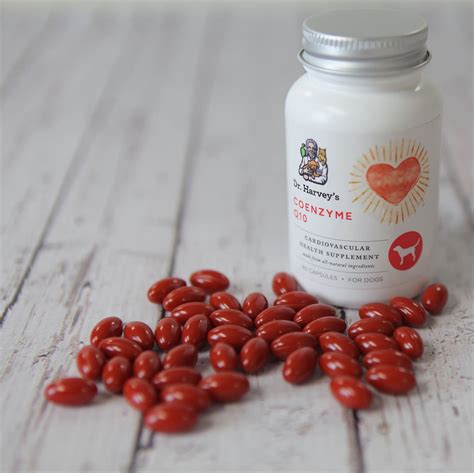 Coenzyme Q10 Supplement For Dogs Dr Harveys