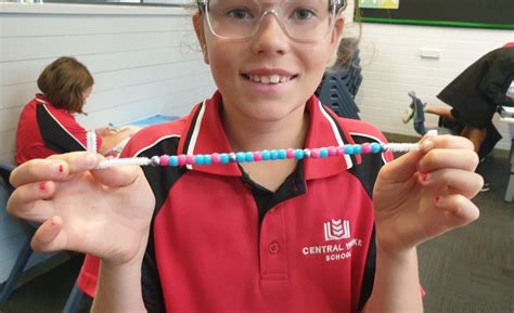 4 5 Stem Binary Bracelets Central Yorke School