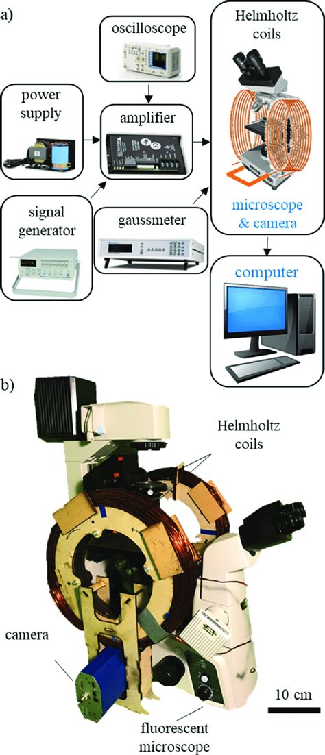 Experimental Setup To Test Magnetic Actuator A A Schematic Of The