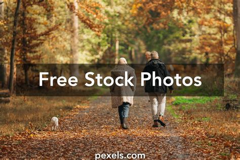 Equafleece Dog Coat Photos Download The Best Free Equafleece Dog Coat