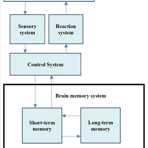 Information Processing Model Download Scientific Diagram