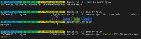 Docker Stop Container Java Code Geeks